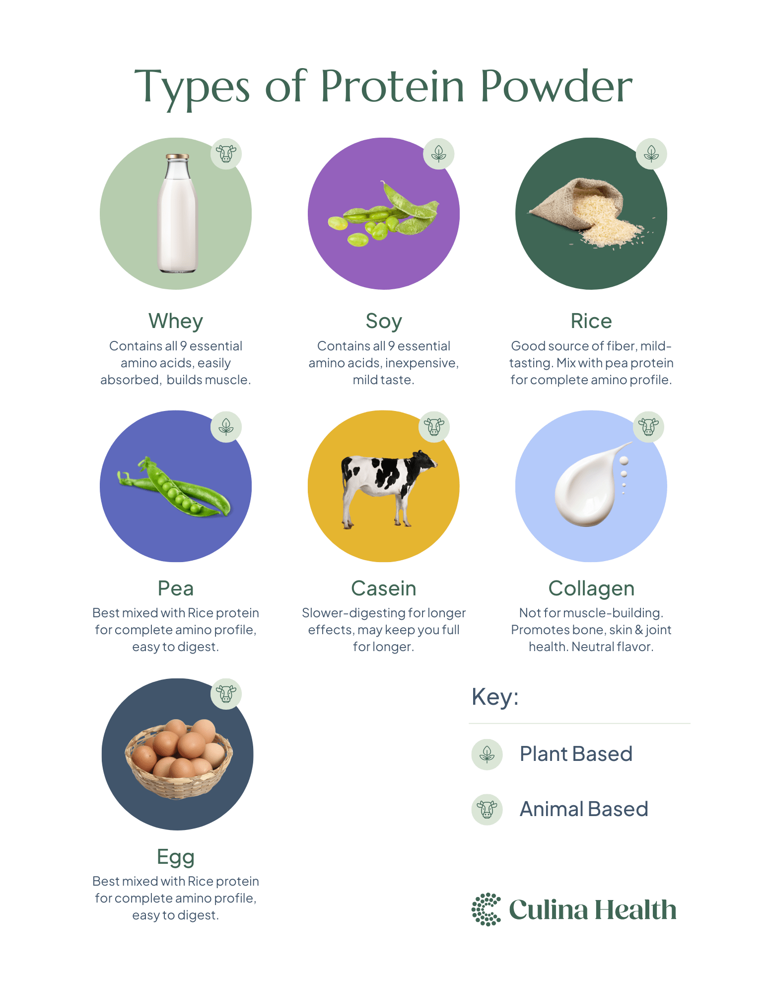 Protein Powder: Everything You Need to Know